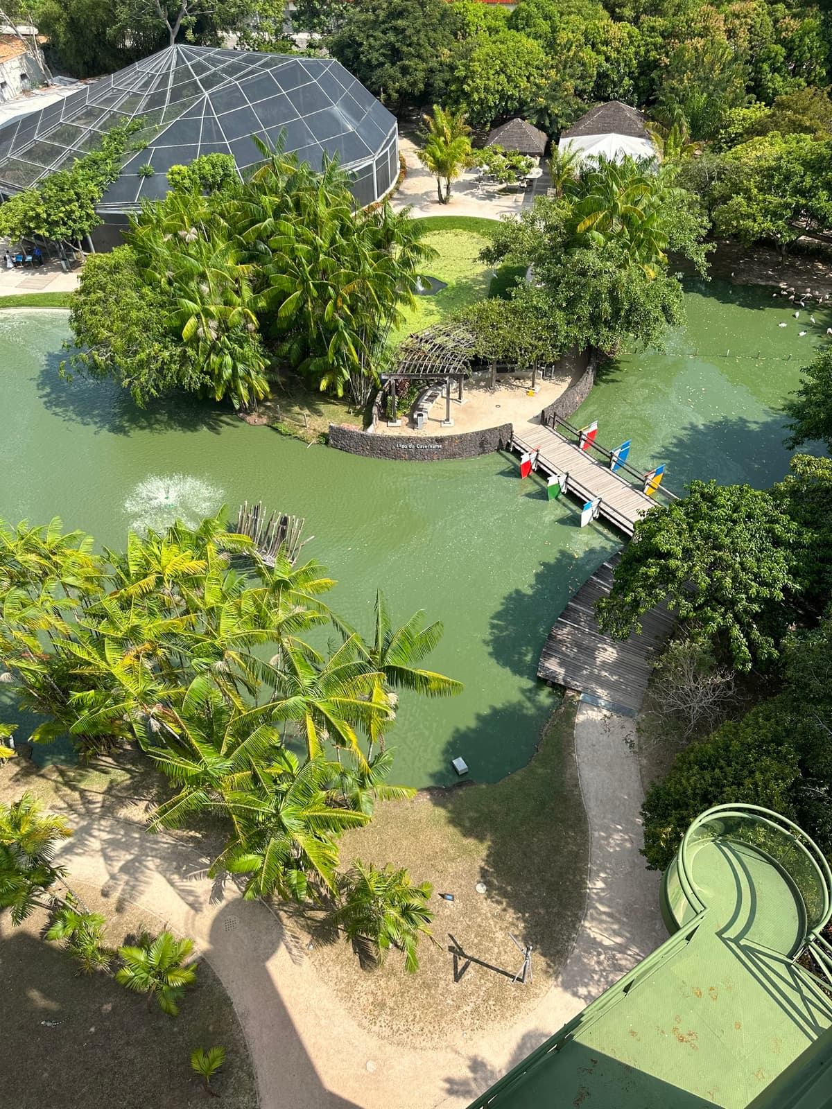 Lucas Alencar, Forbes U30